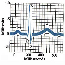 Actions of the Heart