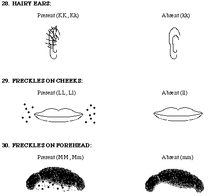 The Genetics of Parenthood